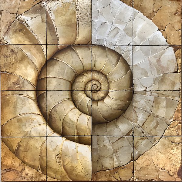 Golden Spiral Shell Tile Mosaic Artwork - Impossible Images - Unique ...